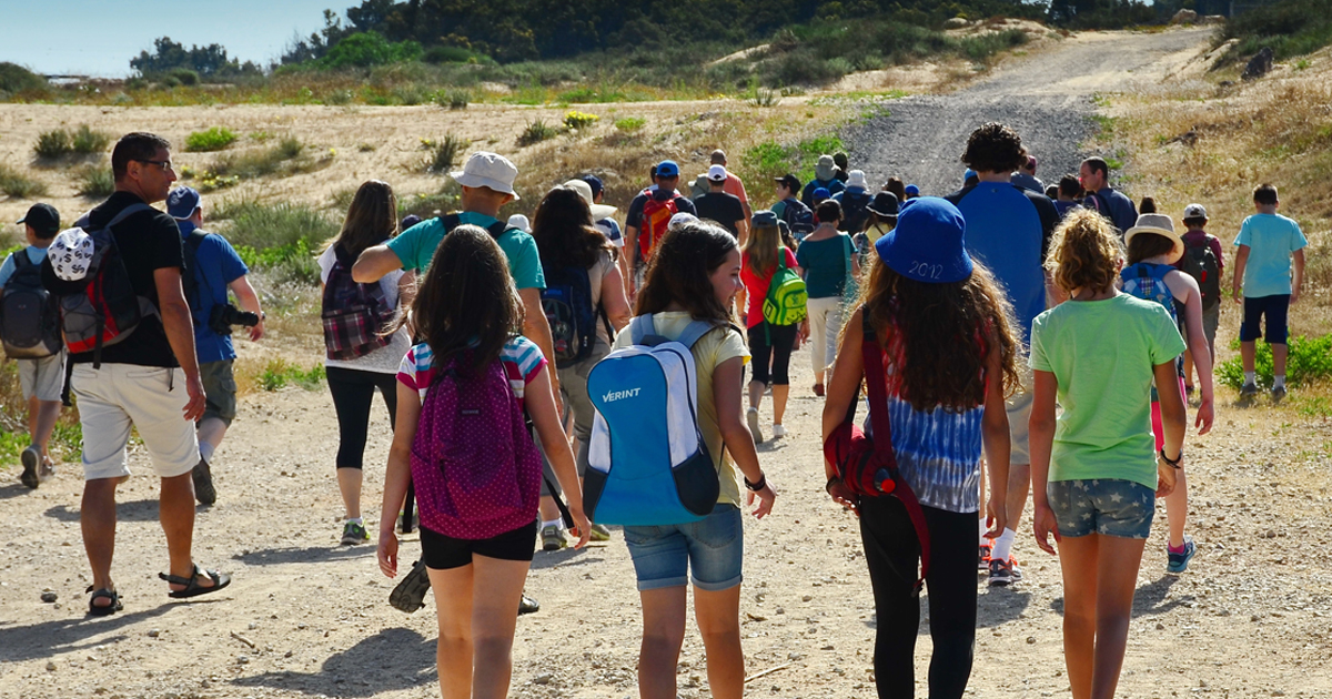 The Long-Lasting Impact That Field Trips Can Have on Students ...